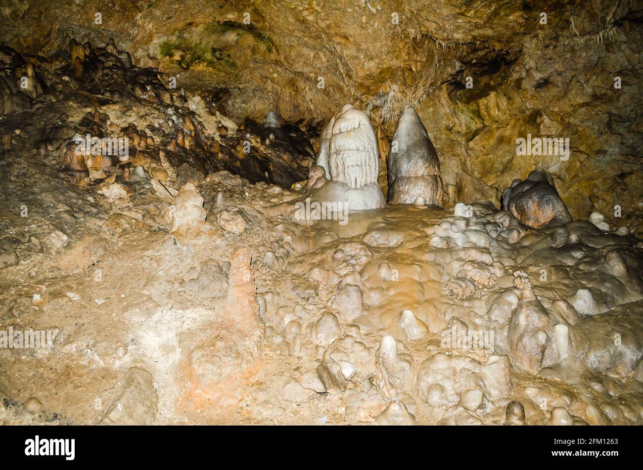 This is a cave located in the ravine of Serbia and is called Resavska ...