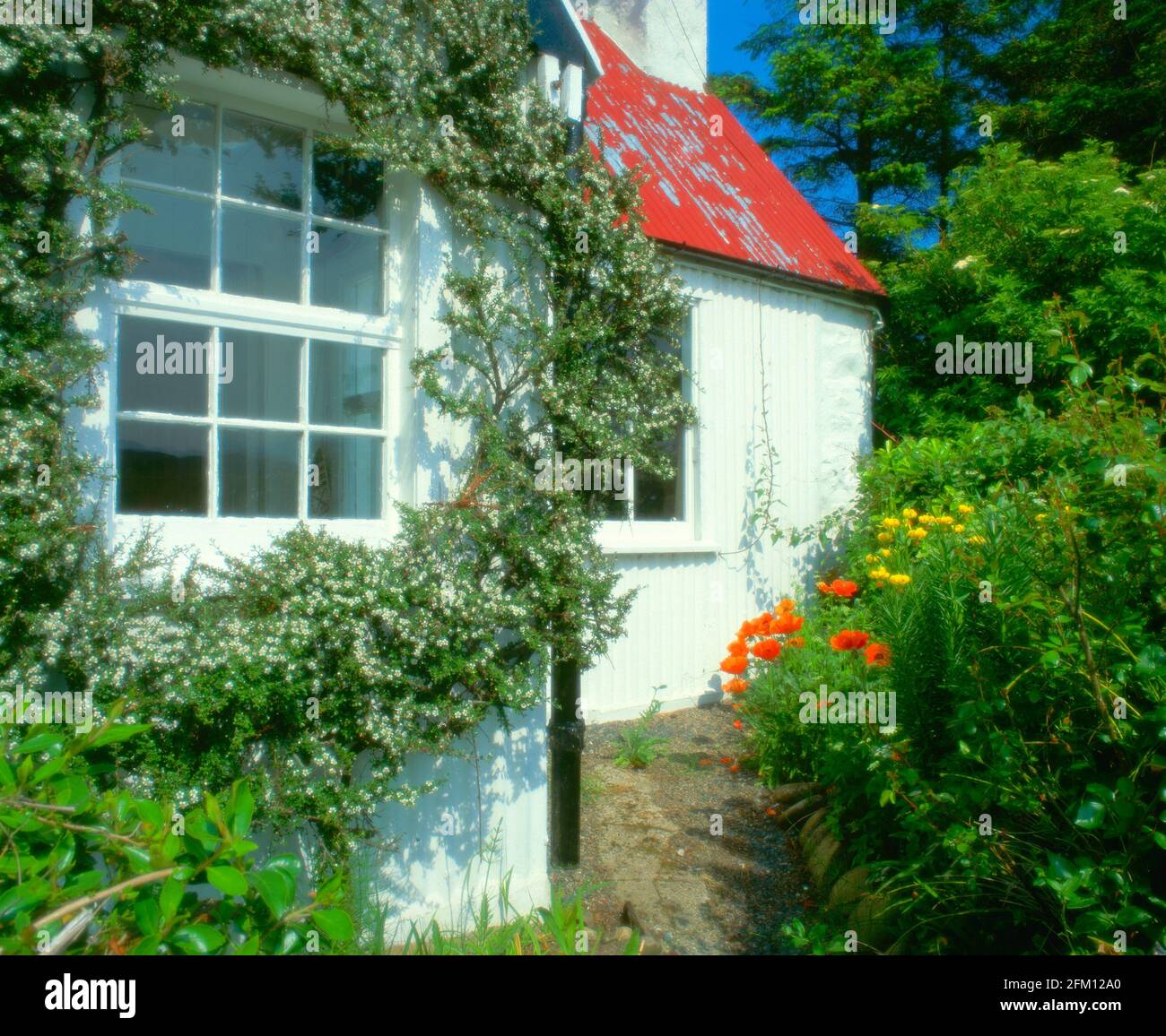 Traditional fishermans cottage hi-res stock photography and images - Alamy