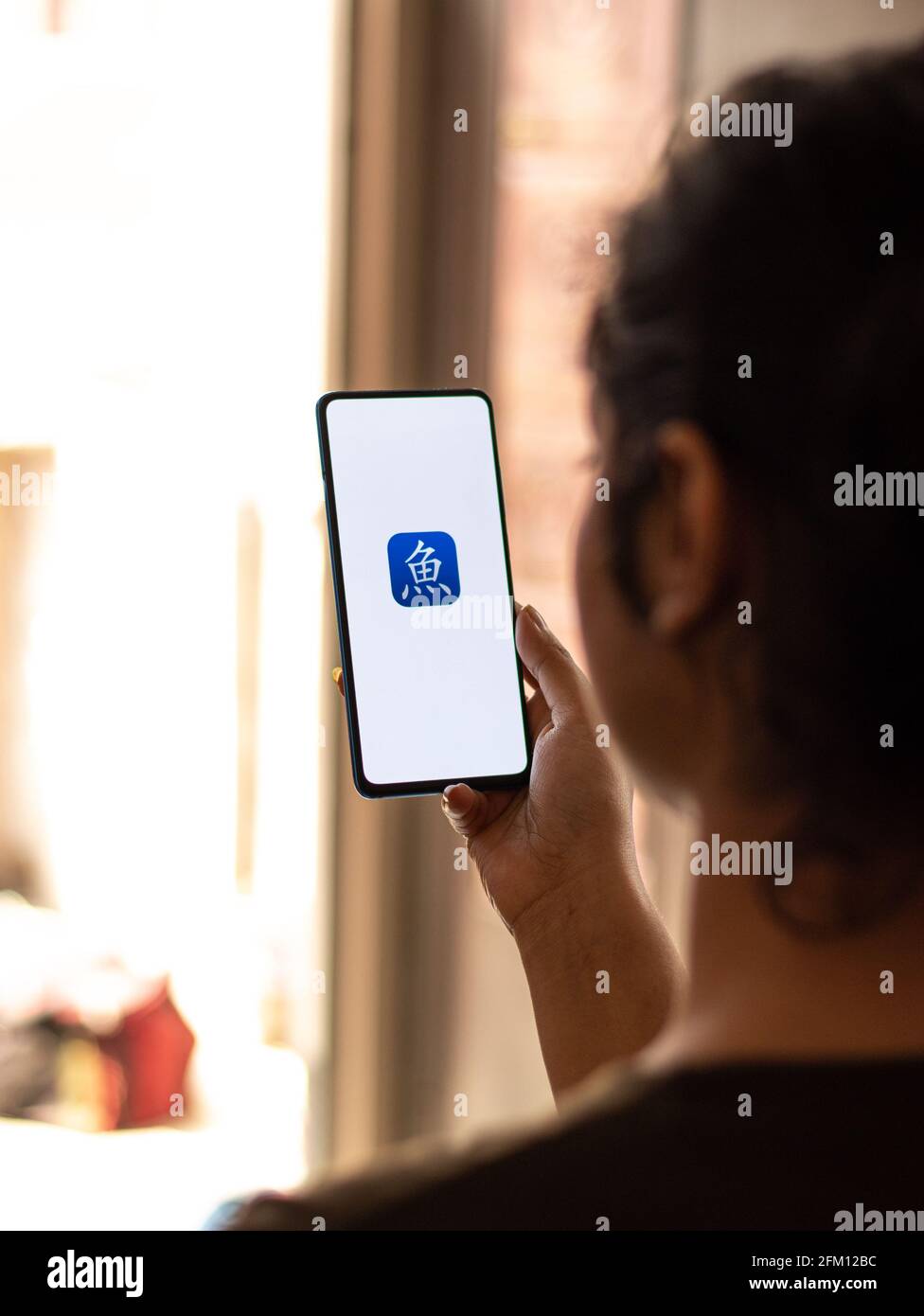 Assam, india - May 04, 2021 : Pleco Software logo on phone screen stock ...