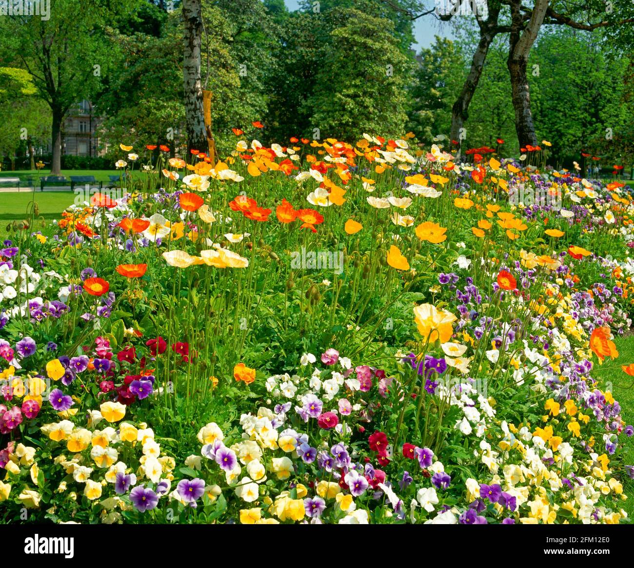 Raised formal gardens hi-res stock photography and images - Alamy