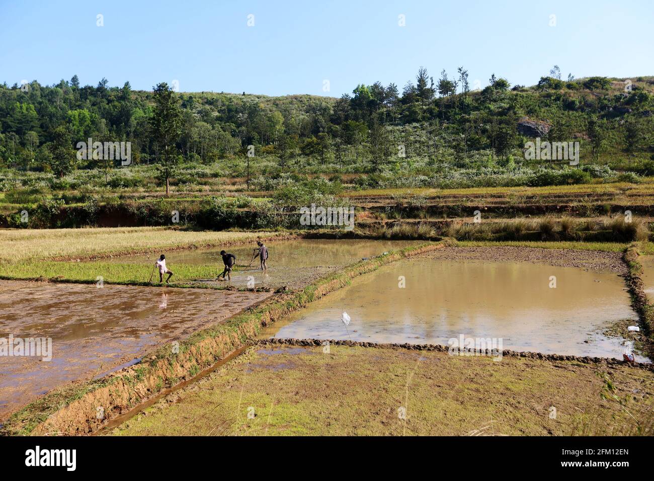 Nomadic tribes of india hi-res stock photography and images - Alamy