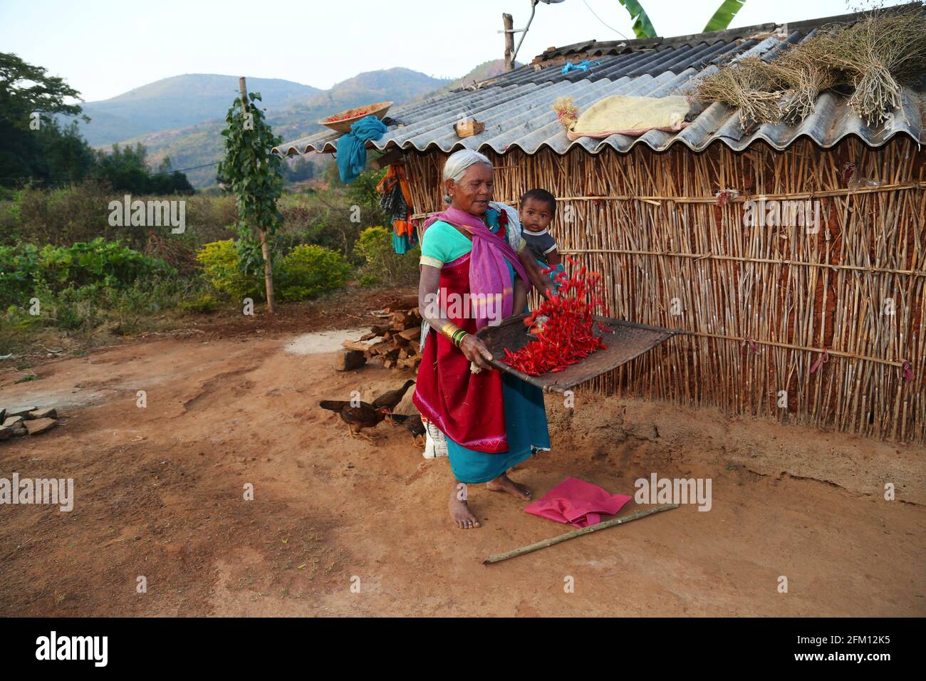 Traditional winnowing hi-res stock photography and images - Alamy