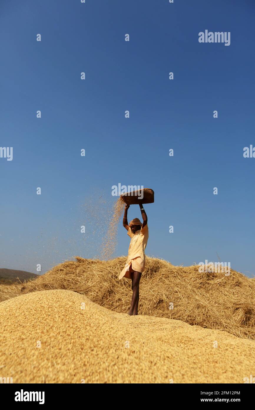 Traditional winnowing hi-res stock photography and images - Alamy