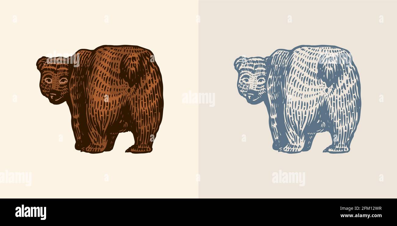 Grizzly bear in vintage style. Brown wild animal. Side view. The beast ...