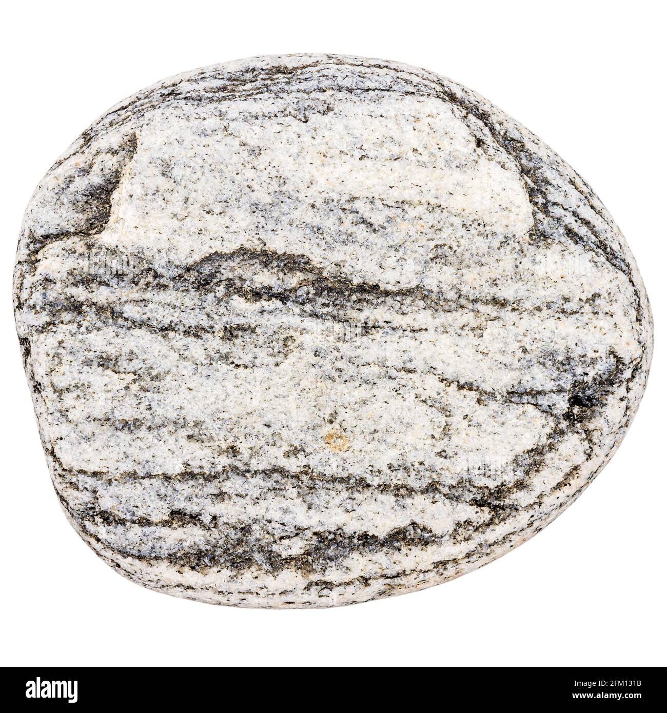 Top view of single gray pebble isolated on white background Stock Photo ...