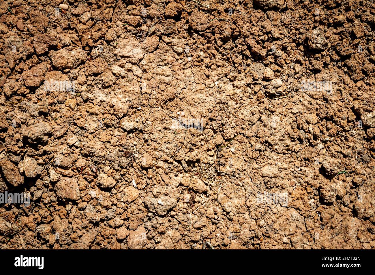 Abstract ground texture with clumps. Soil background Stock Photo - Alamy