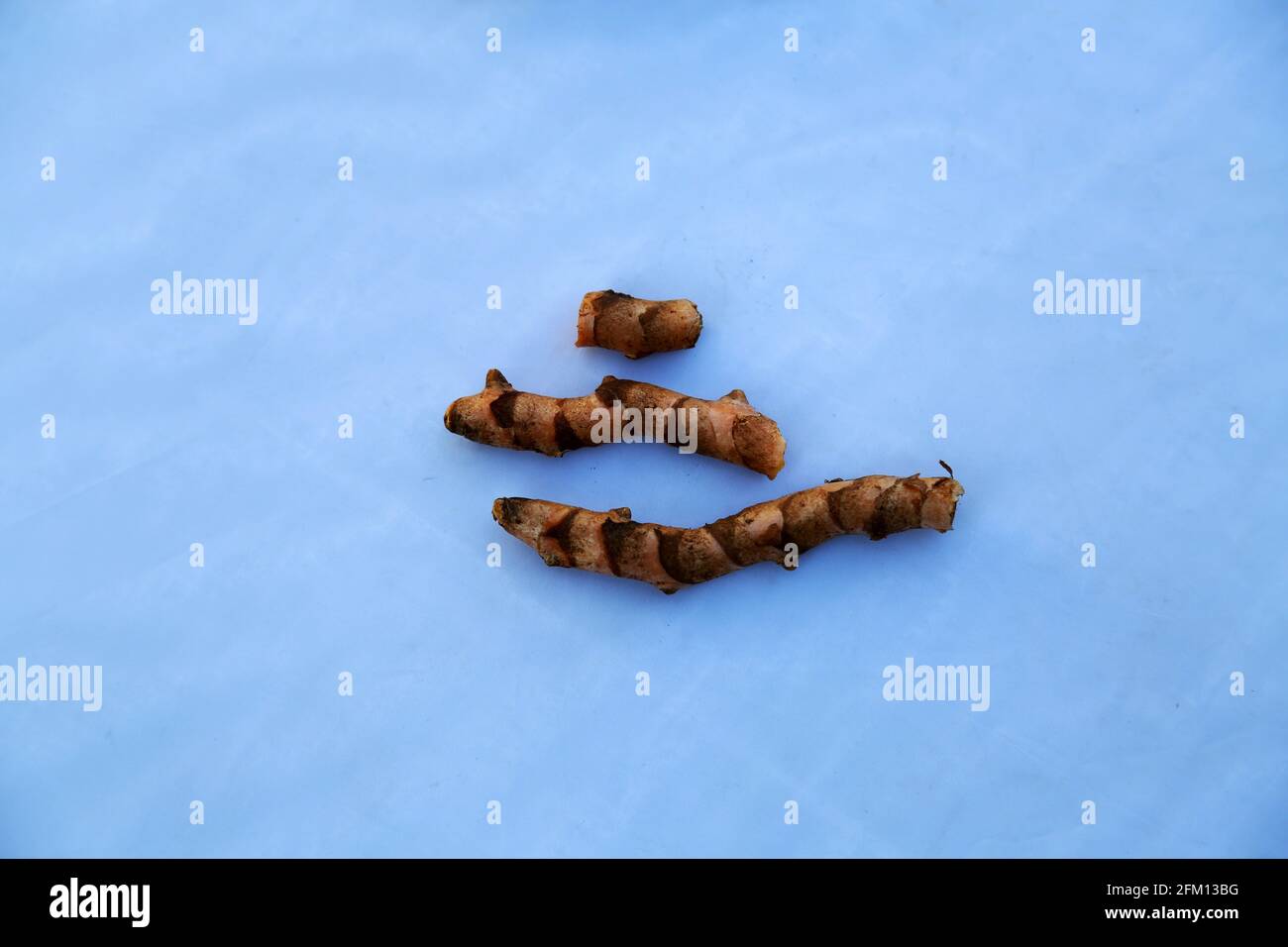 Turmeric - Pasupu - Sangsang (Medicinal Plant ) used by Konda Savara ...