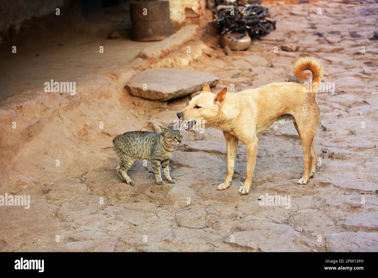 Village of animal hi-res stock photography and images - Alamy