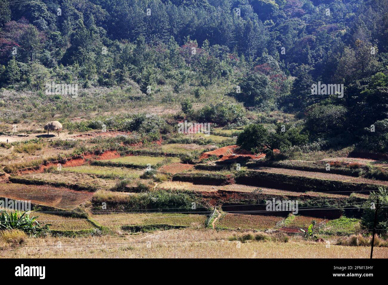 Araku valley hi-res stock photography and images - Alamy
