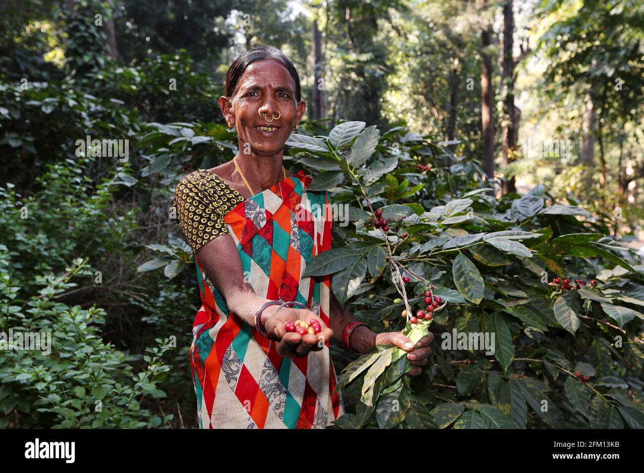 Nooka dhora tribal hi-res stock photography and images - Alamy