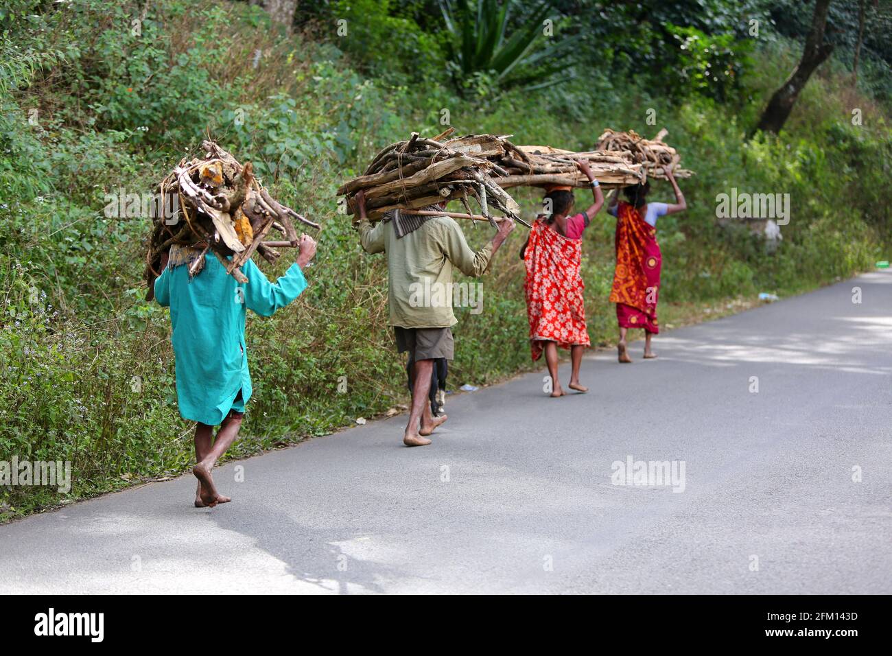 Nooka Dhora Tribe - Tribal People Carrying Firewood - Galikonda Village ...