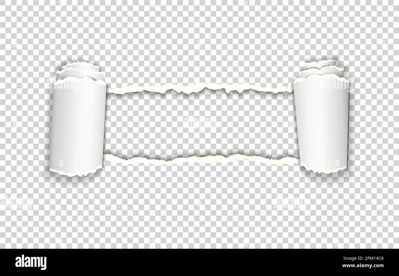 Torn paper with rolled edge on transparent background with frame for ...