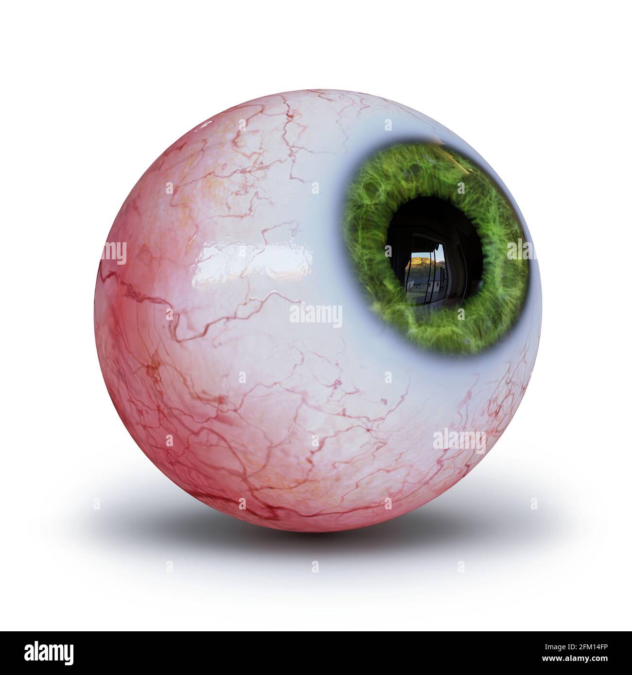 human eyeball with green iris looking up, isolated with shadow on white ...