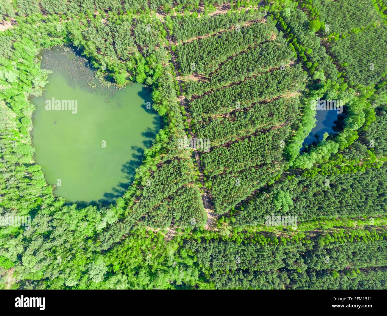 Heart shaped lake hi-res stock photography and images - Alamy
