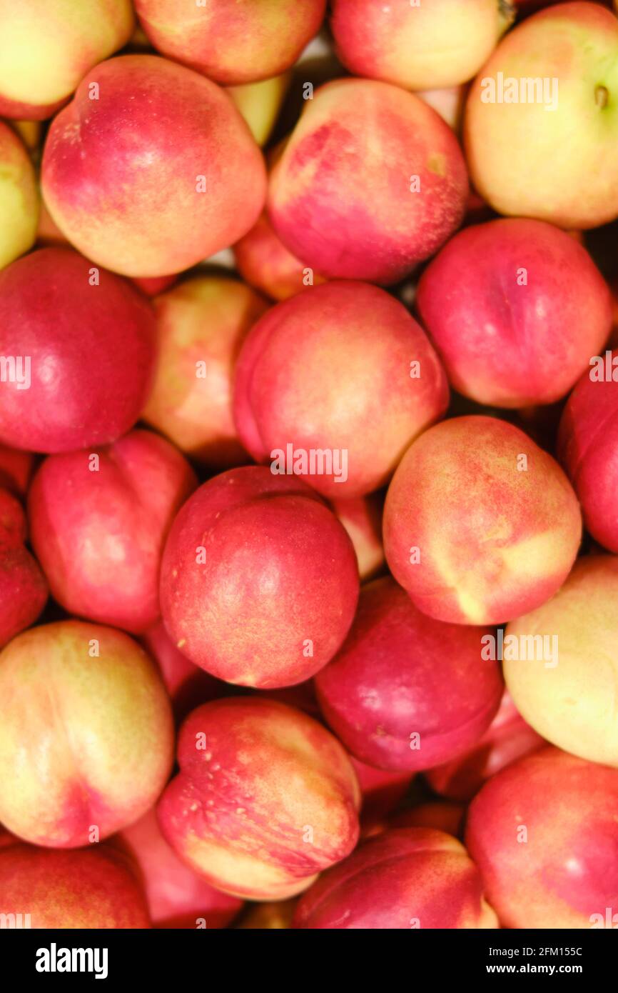 Red fresh nectarines, food background close-up Stock Photo - Alamy