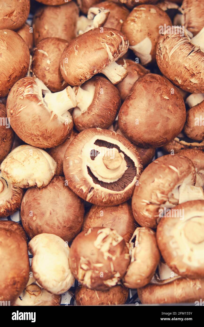 Brown fresh champignon, food background of mushrooms close-up Stock ...