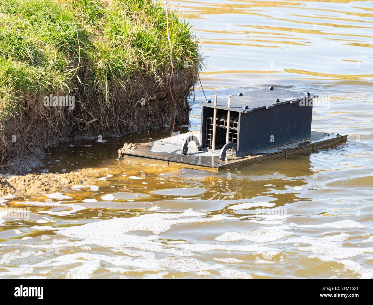 Smart floating mink trap on fenland drainage channel Stock Photo - Alamy