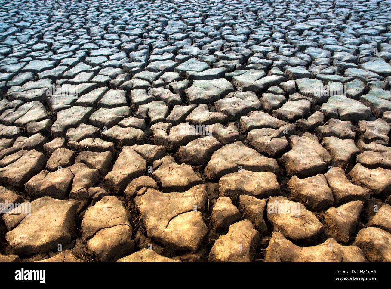 Parched soil hi-res stock photography and images - Alamy