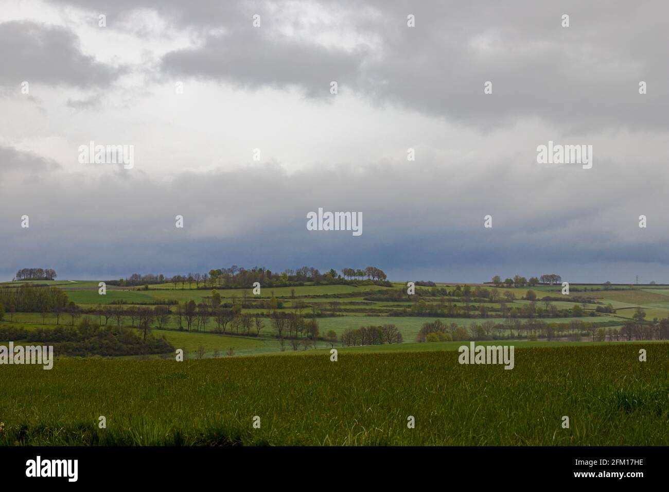 Rain and hale coming down in the rolling hillside in the Netherlands ...