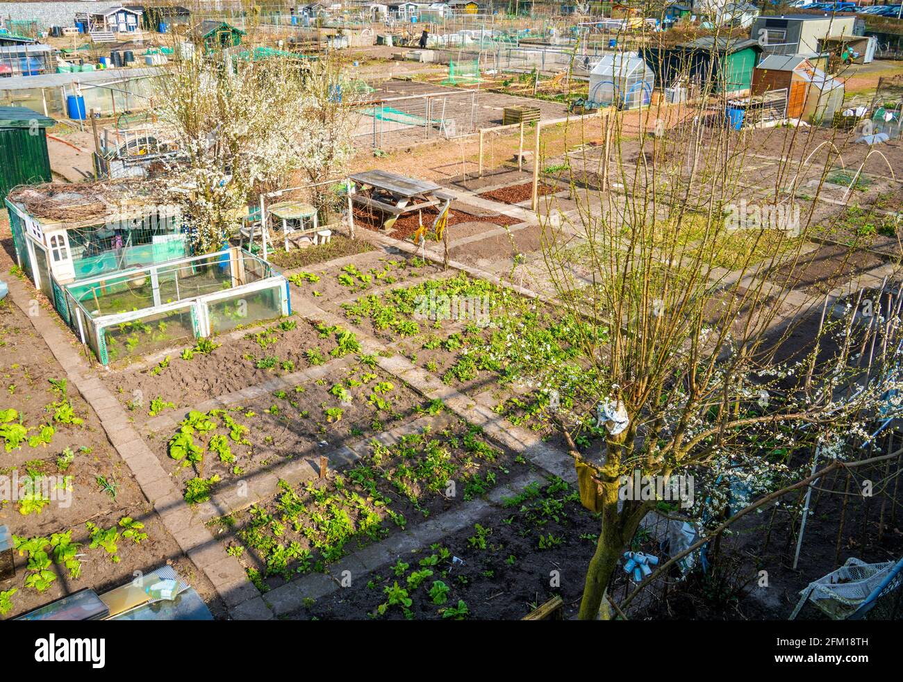 Allotment overview allotments overview hi-res stock photography and ...