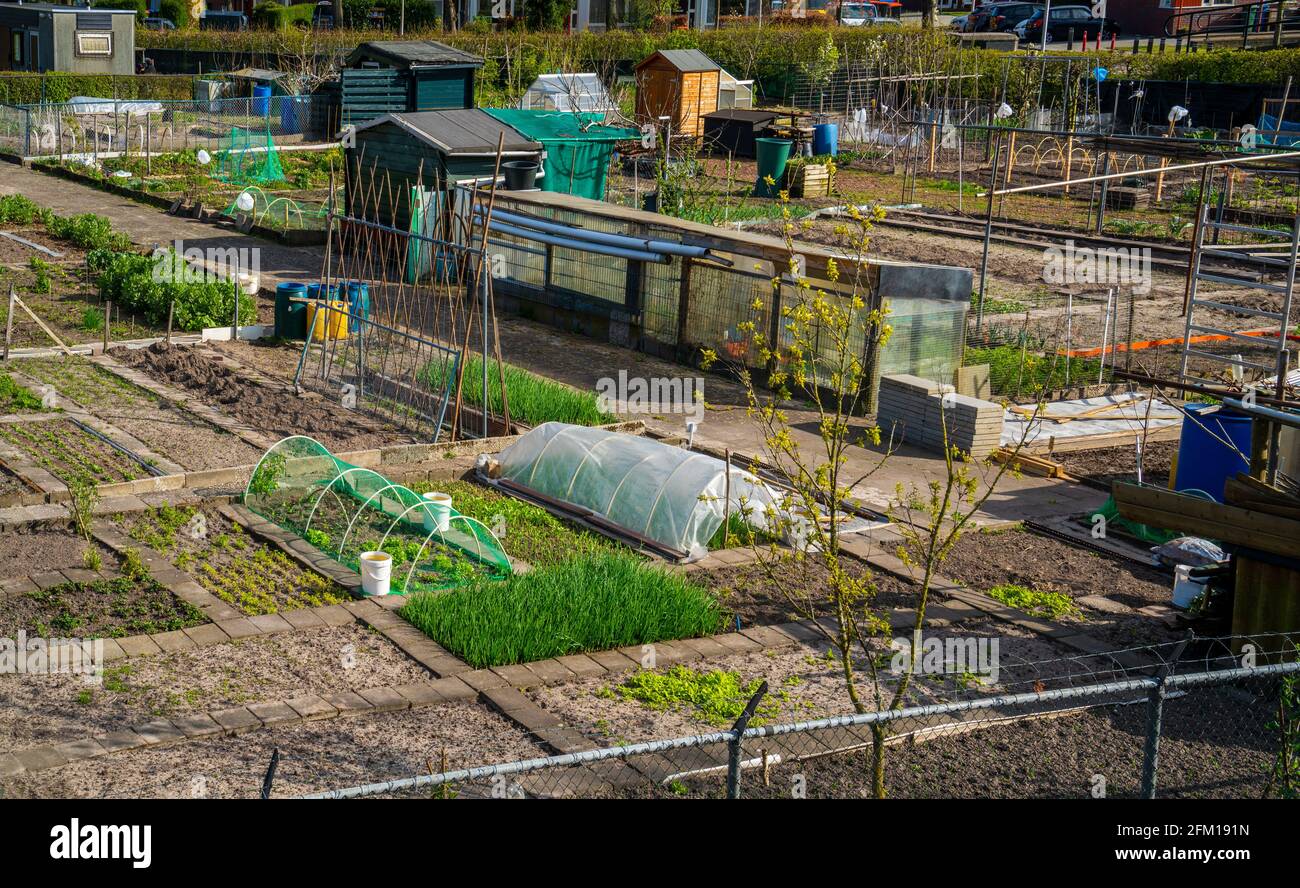 Allotment overview hi-res stock photography and images - Alamy