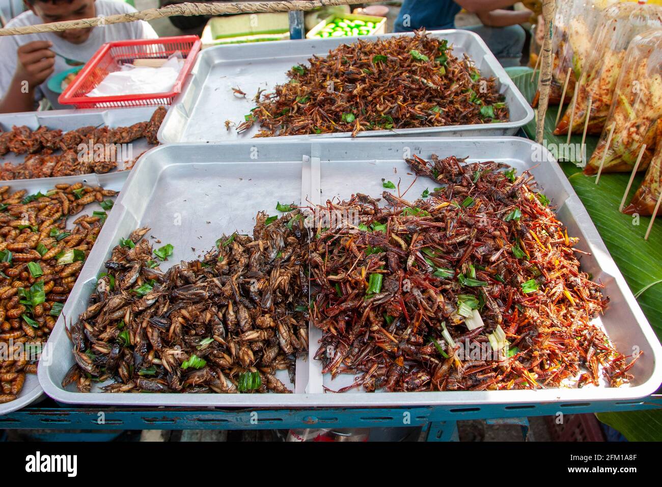 Insect vendors hi-res stock photography and images - Alamy