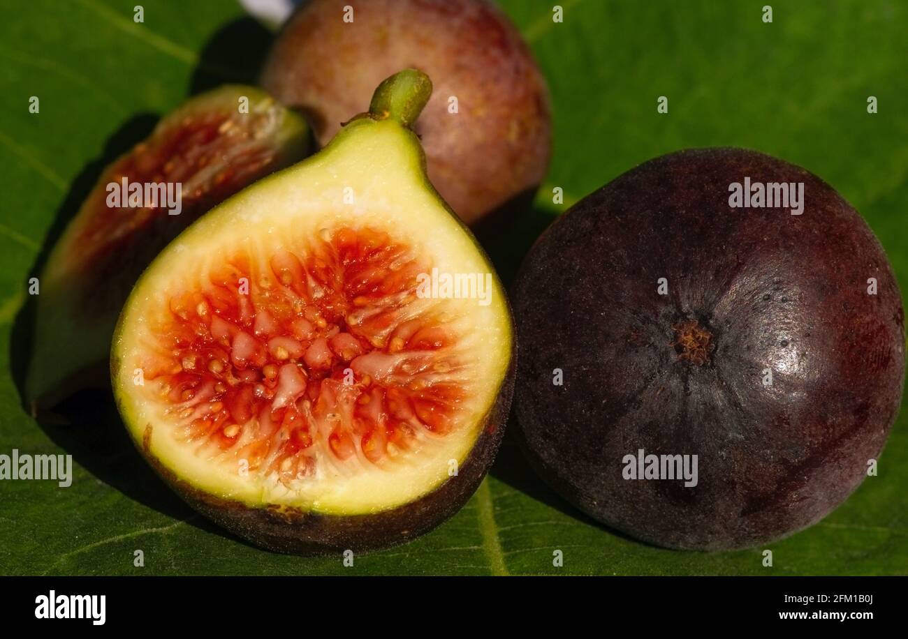 Mulberry fig hi-res stock photography and images - Alamy