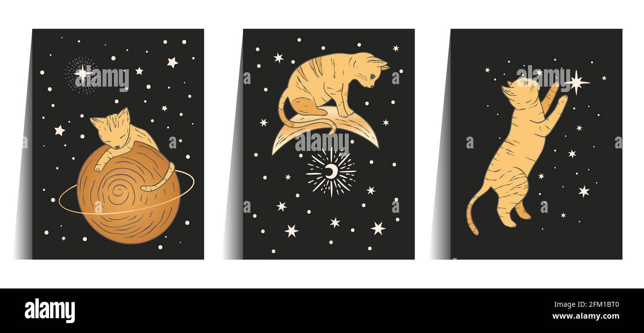 Celestial cat animal sacred astrology card set. Boho esoteric golden ...