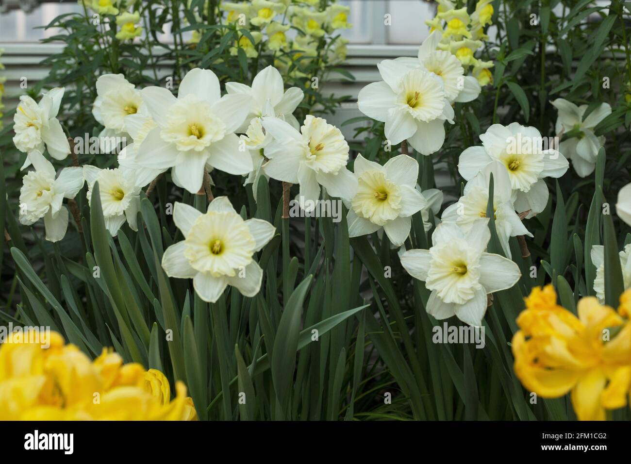 Follies garden hi-res stock photography and images - Alamy