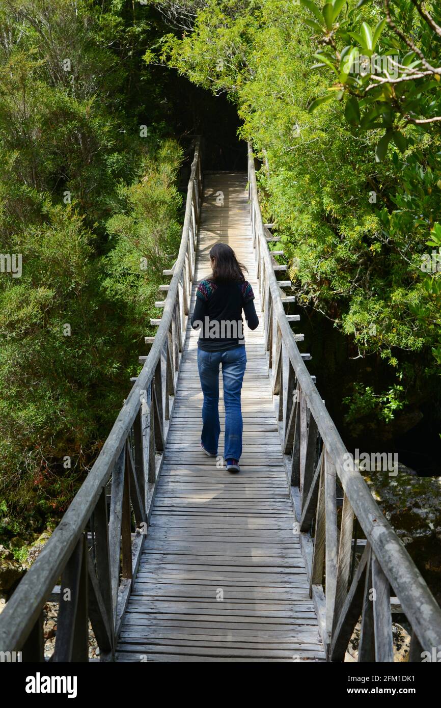 woman crossing over a suspension bridge, on vacation in south america ...