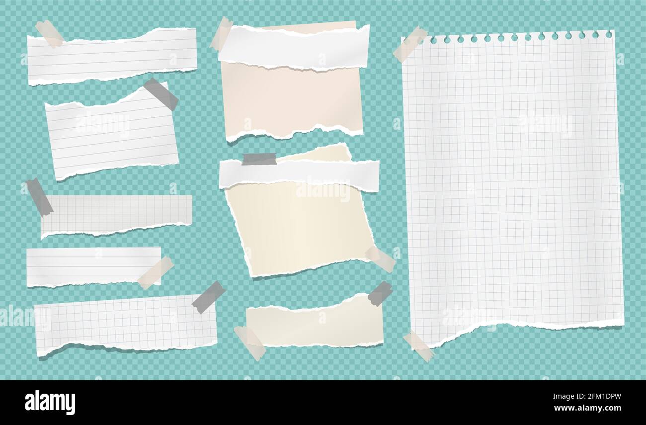 Set of torn white note, notebook paper pieces stuck on turquoise ...