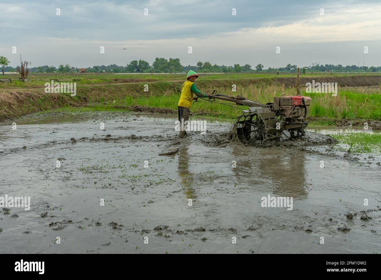 Using tractors hi-res stock photography and images - Alamy
