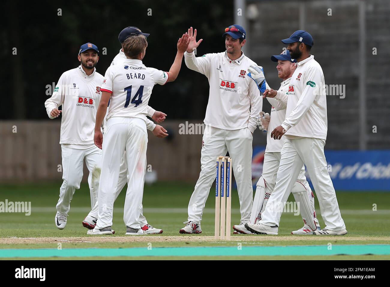 Aaron Beard of Essex celebrates taking the wicket of Akil Greenidge ...