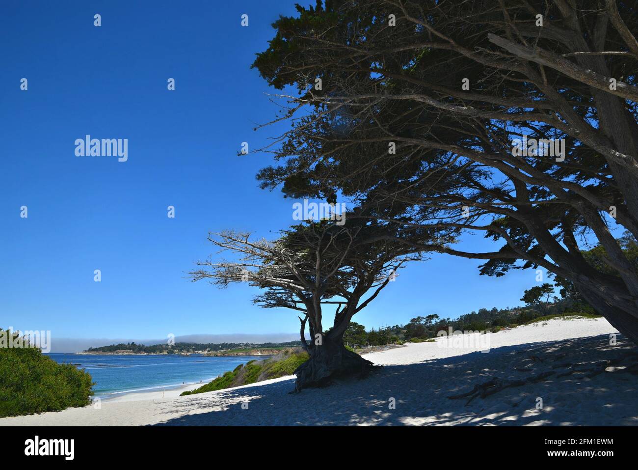 Landscape with panoramic view of Carmel-by-the-Sea Beach in Monterey ...