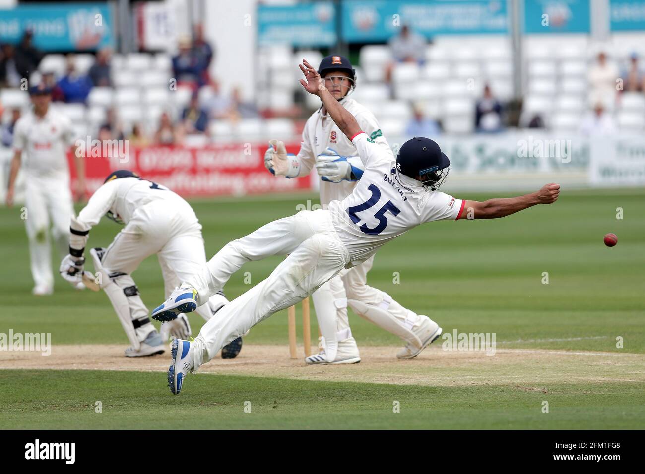 Cricket player diving for catch hi-res stock photography and images - Alamy