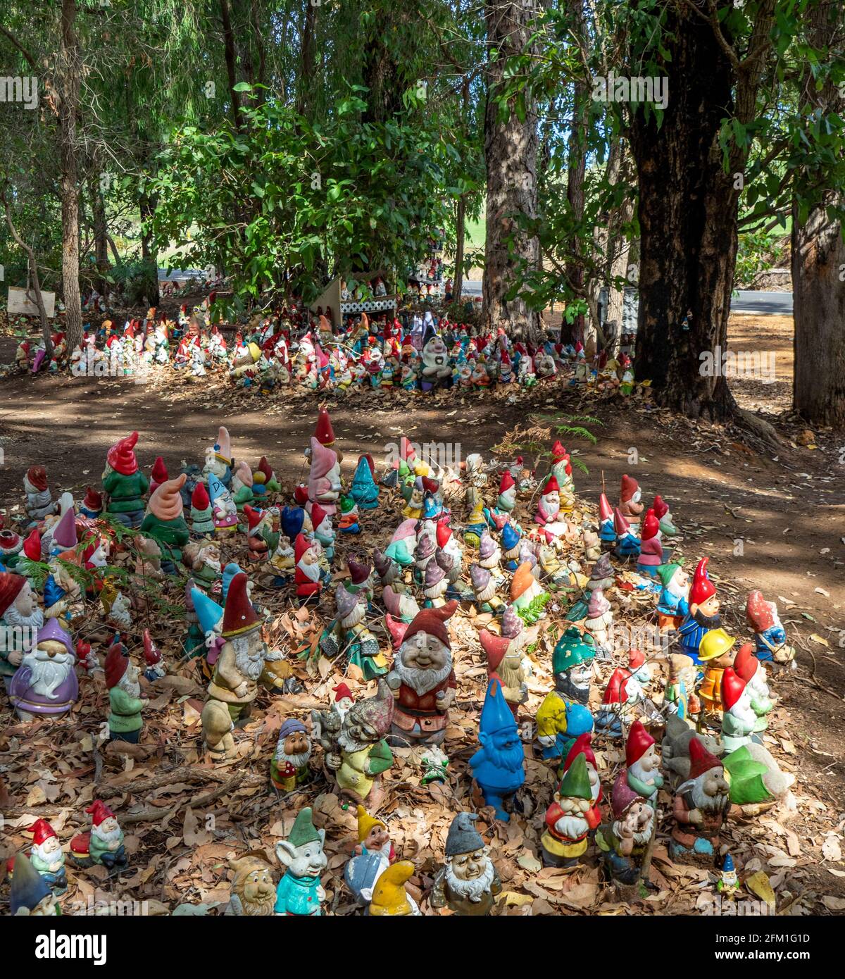 Tourist attraction collection of garden gnomes at Gnomesville in ...