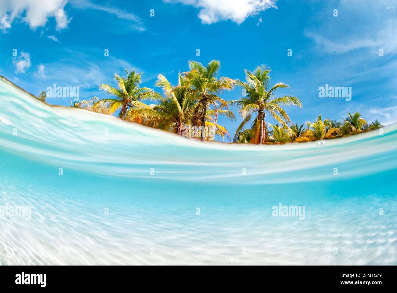 Half water half sand hi-res stock photography and images - Alamy