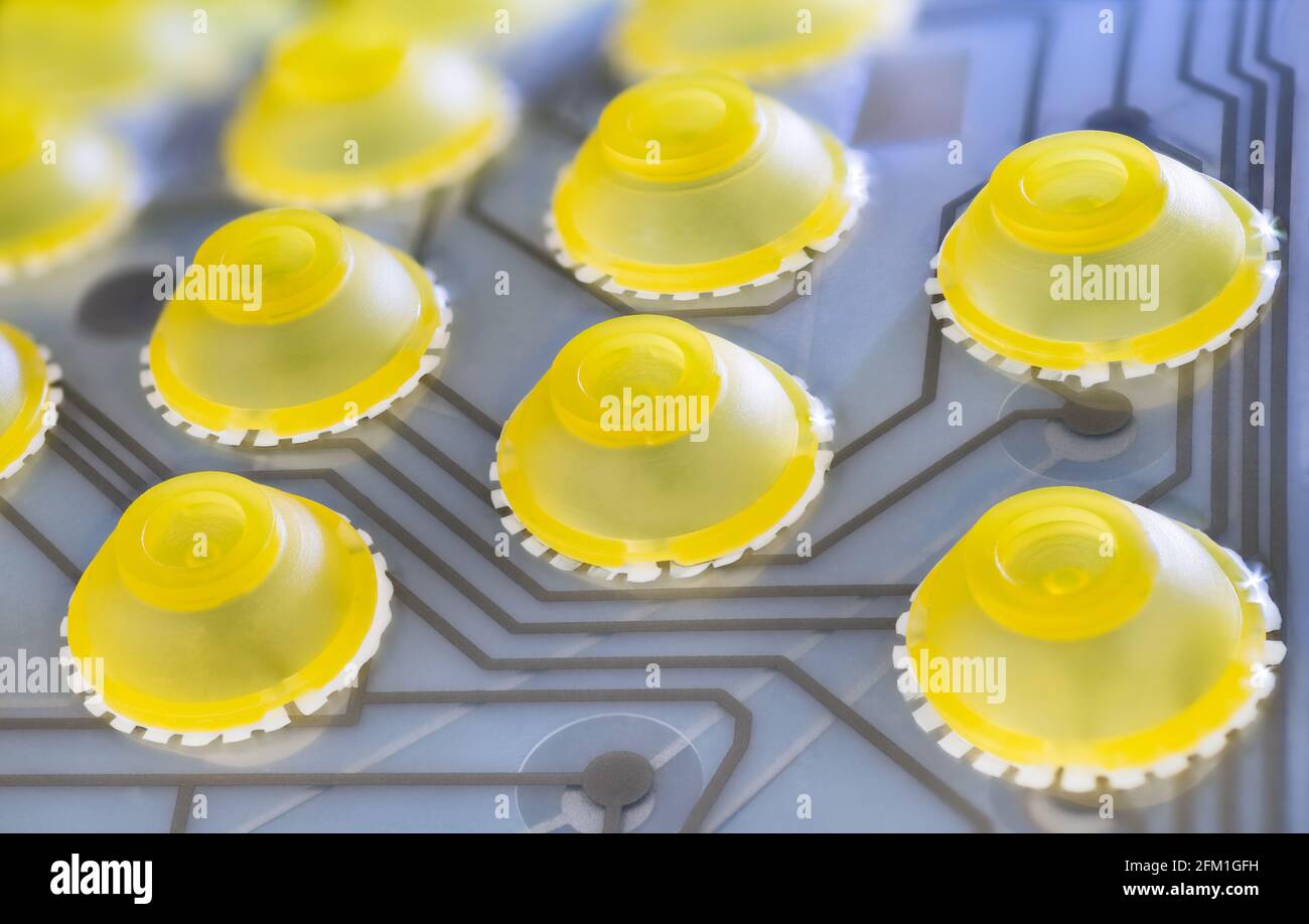 Plastic membrane hi-res stock photography and images - Alamy