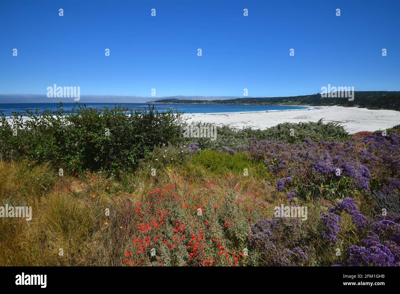 Landscape with panoramic view of Carmel-by-the-Sea Beach in Monterey ...