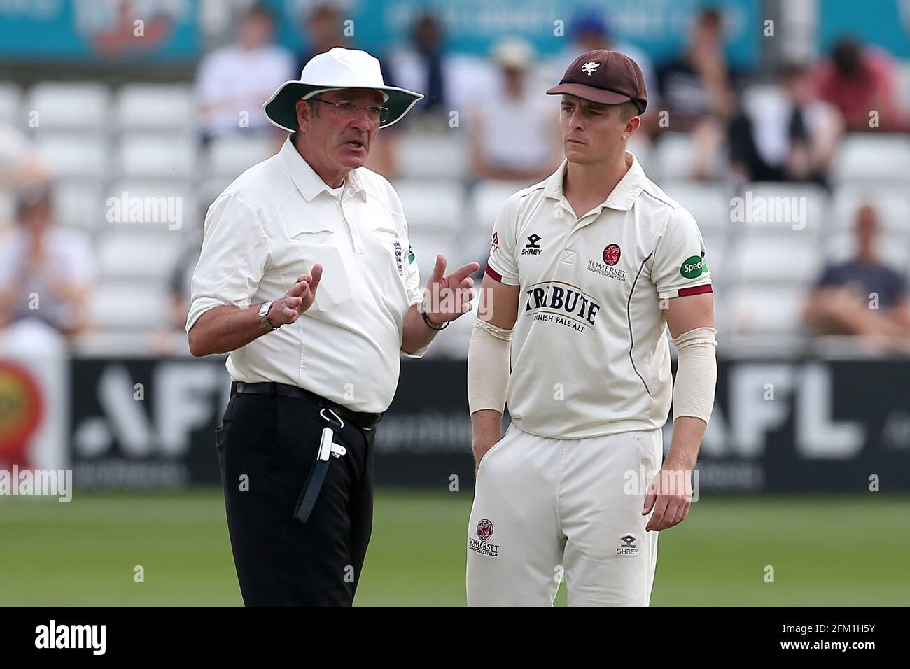 Nick cook hi-res stock photography and images - Alamy