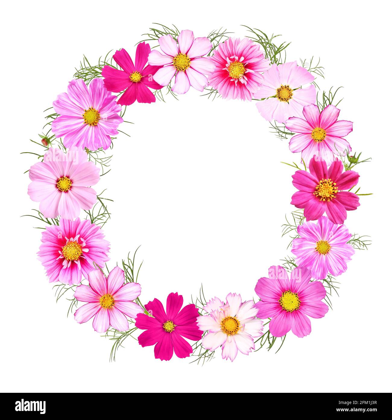 Different floral Cut Out Stock Images & Pictures - Alamy