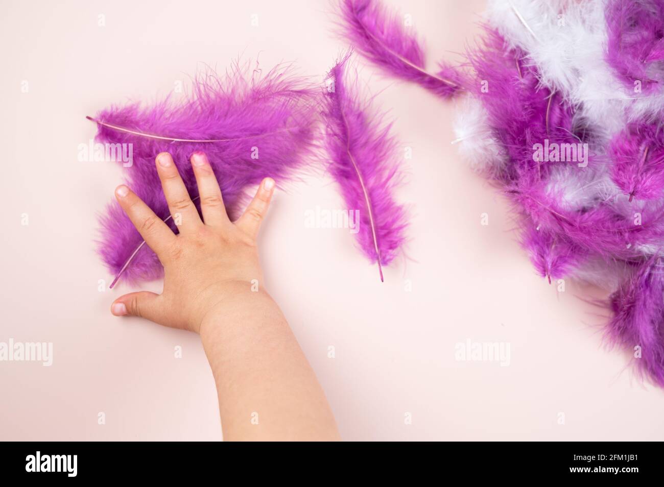 Multi-colored feathers in the hand of a child Stock Photo - Alamy
