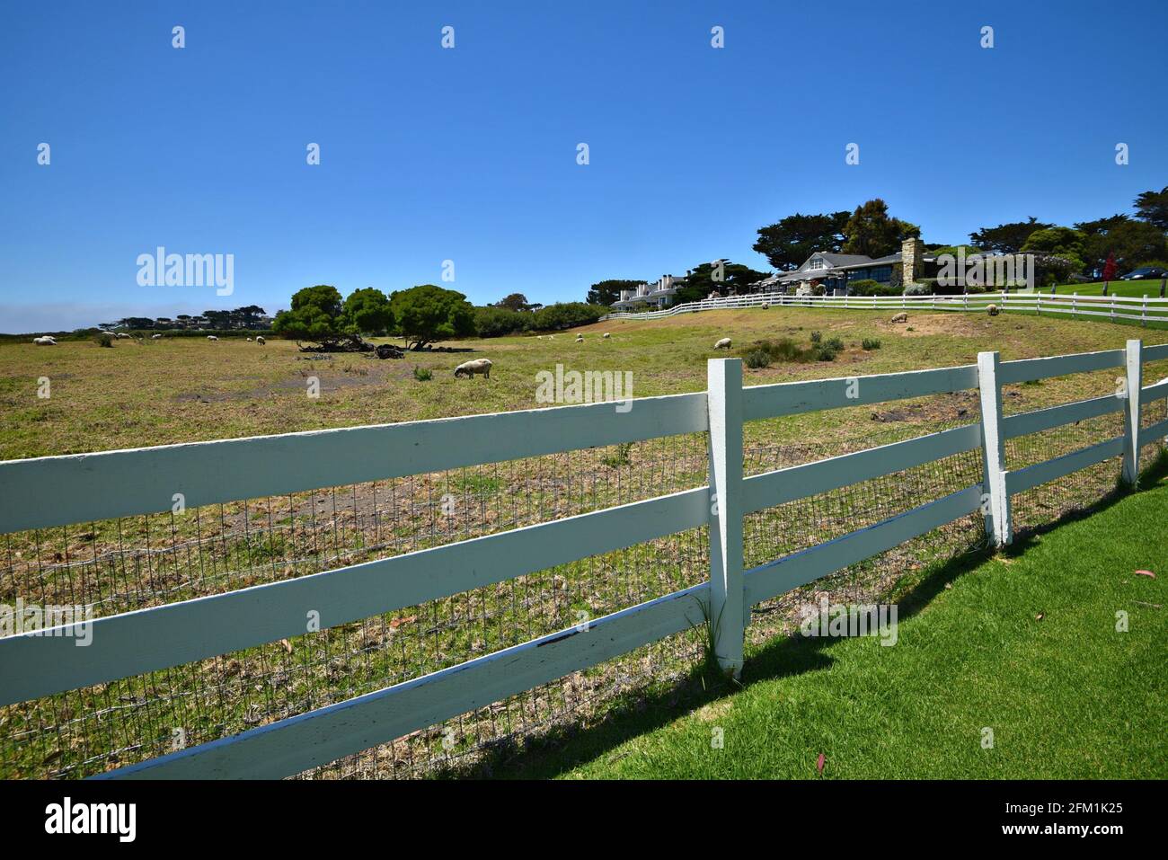 Mission ranch carmel hi-res stock photography and images - Alamy