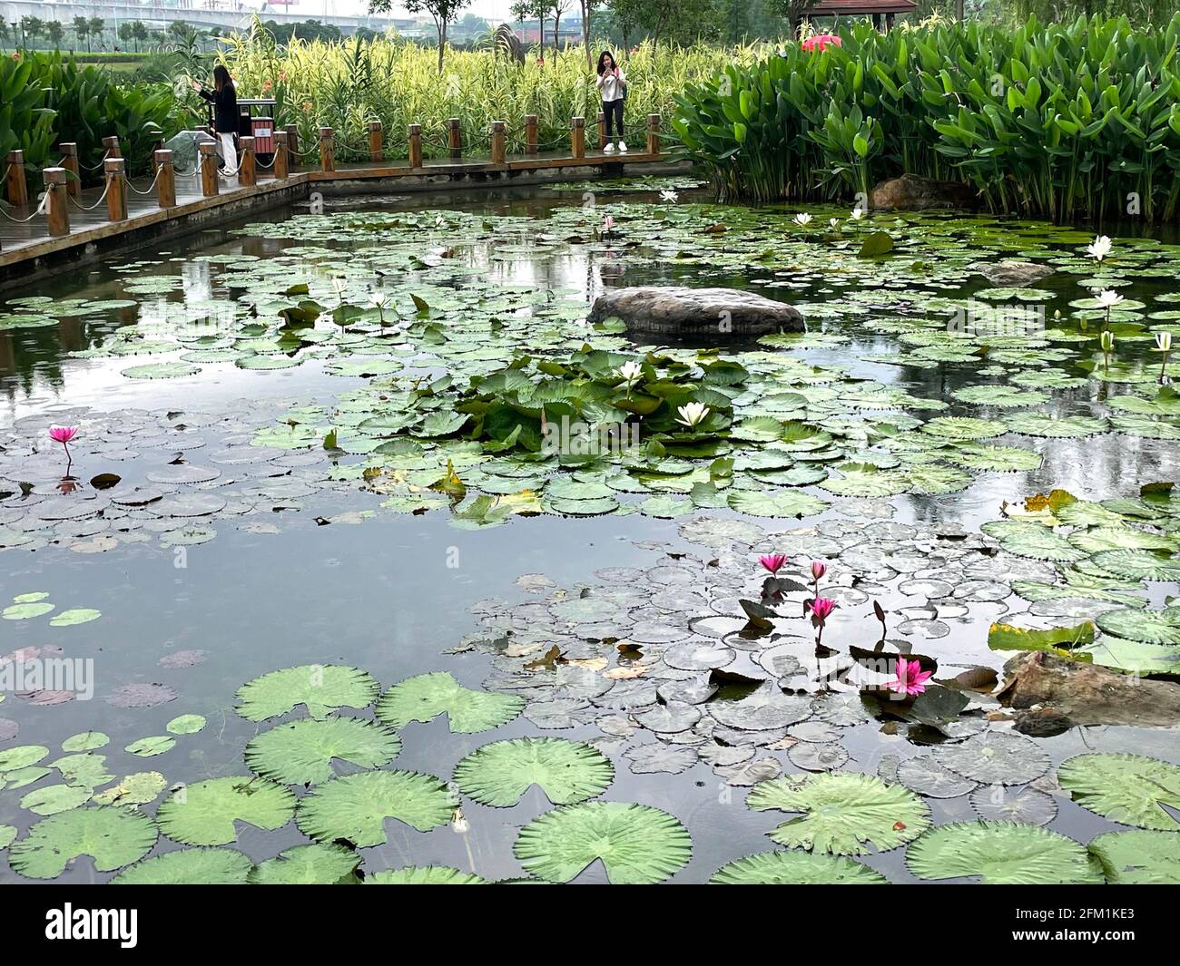 Nanning chinas guangxi zhuang autonomous hi-res stock photography and ...