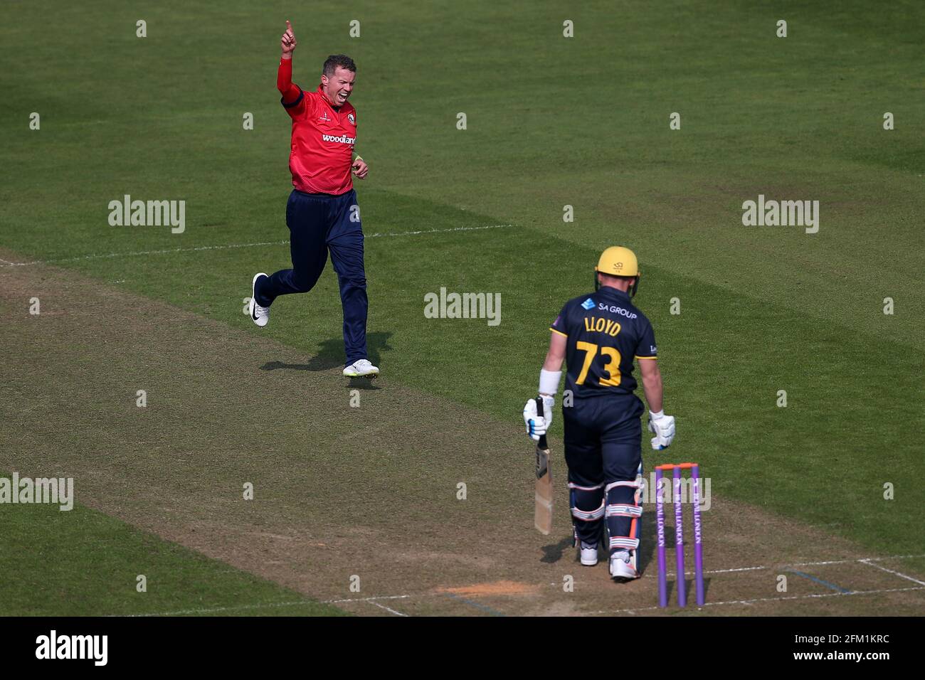 Peter Siddle of Essex celebrates taking the wicket of David Lloyd ...