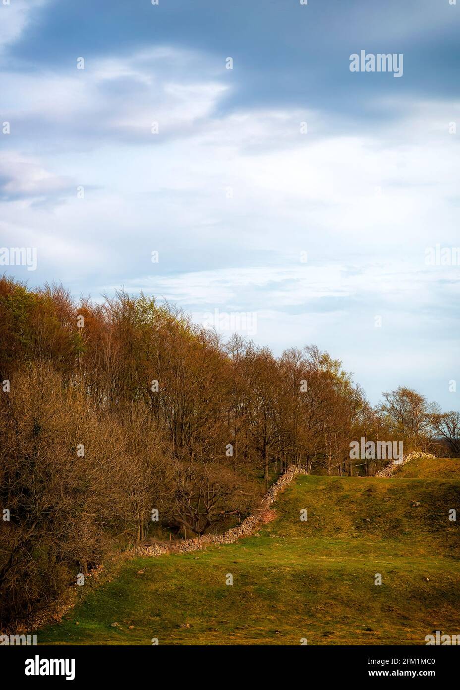 Grevie backar hi-res stock photography and images - Alamy