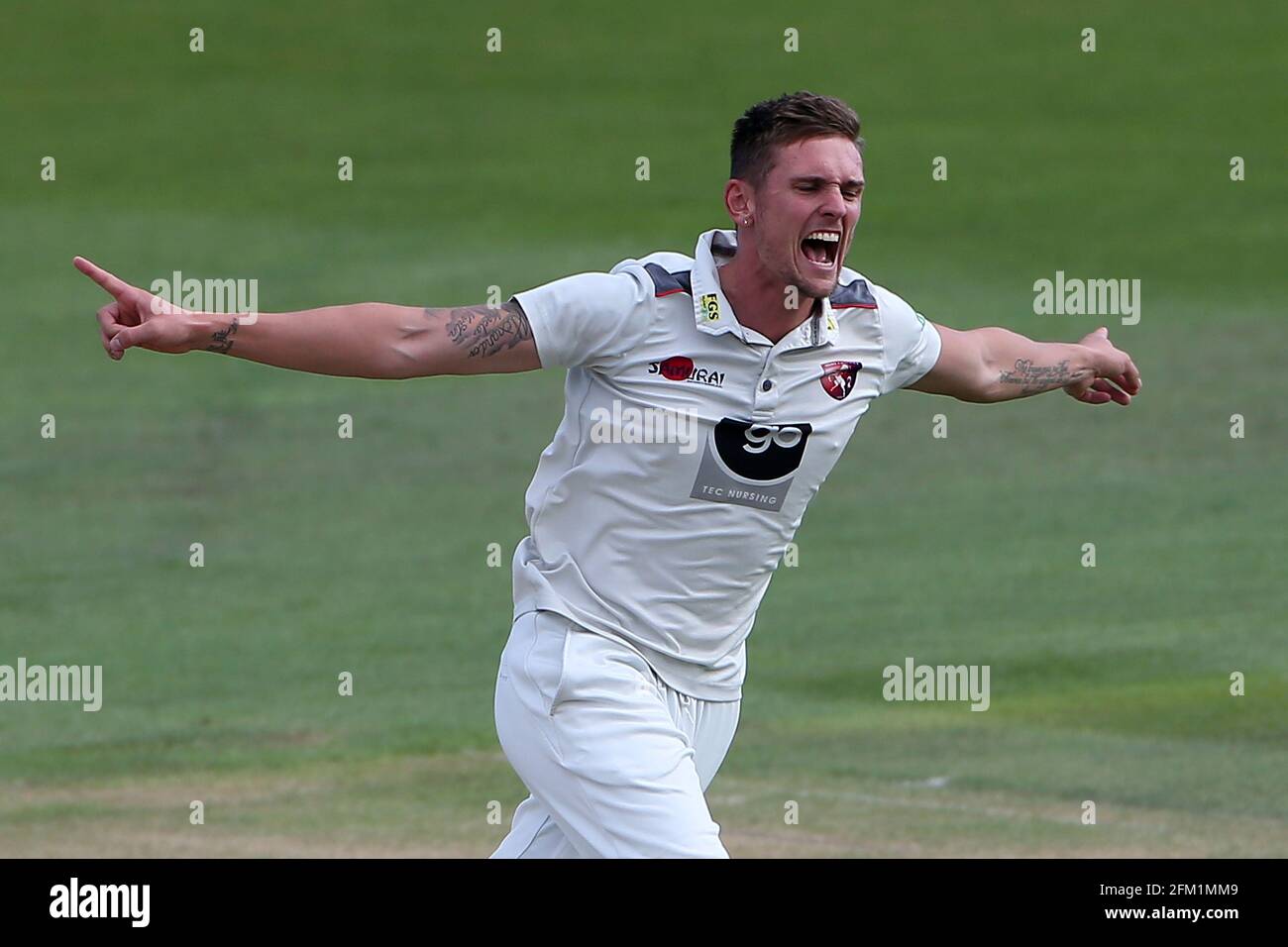 Harry Podmore of Kent celebrates taking the wicket of Nick Browne ...