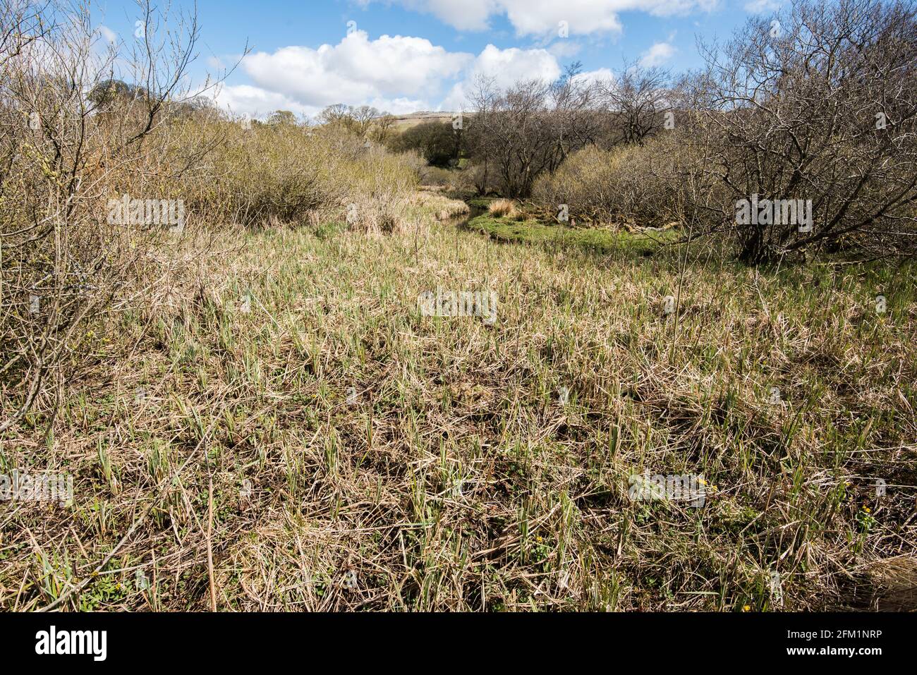 Lime rich ground water hi-res stock photography and images - Alamy