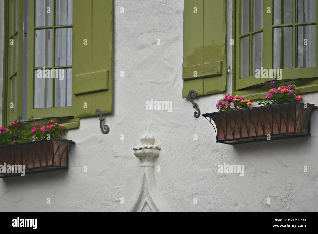 Olive green wooden windows with shutters over a flower pot with ...