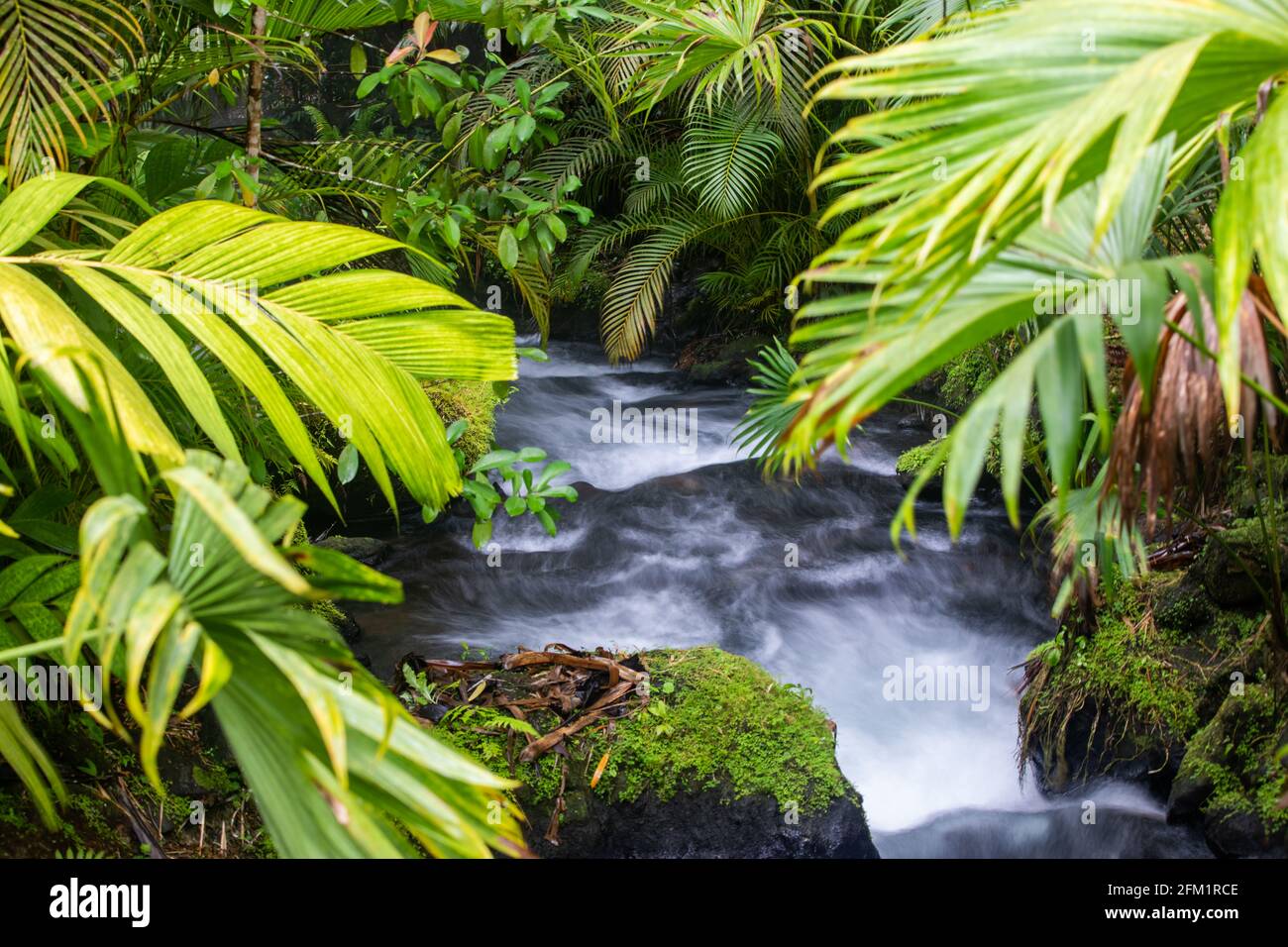 Thermal-water pools and non-pumped (free-flowing) hot spring rivers at ...